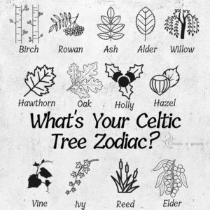 The 13 Celtic Tree Zodiacs - What's Your Birth Tree? • Moon of Gemini